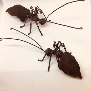 Black Ant. Insect Made of Wire. Ant With Seed. Ant Hand Made - Etsy
