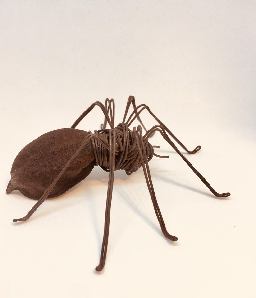 Wire Spider. Spider and Seed, Wire Spider With Barcelona Tree Seed ...