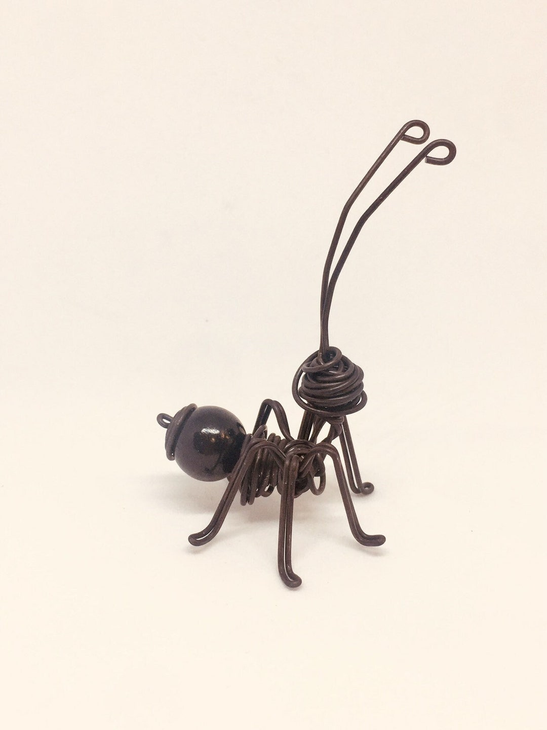 75 Black Ants. Business Gift. Ant Nest. Ants to Decorate Black Ants ...