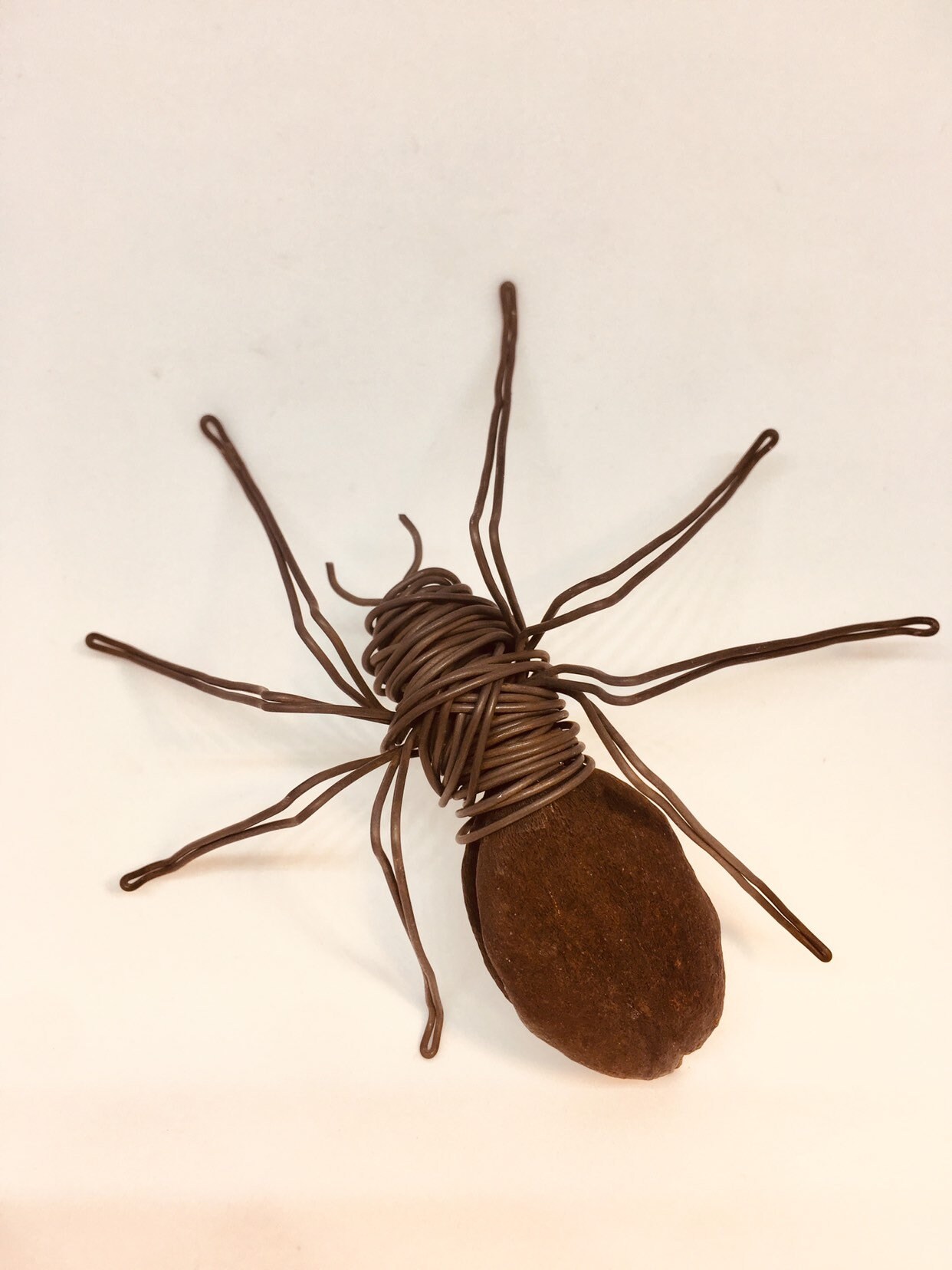 Wire Spider. Spider and Seed, Wire Spider With Barcelona Tree Seed ...