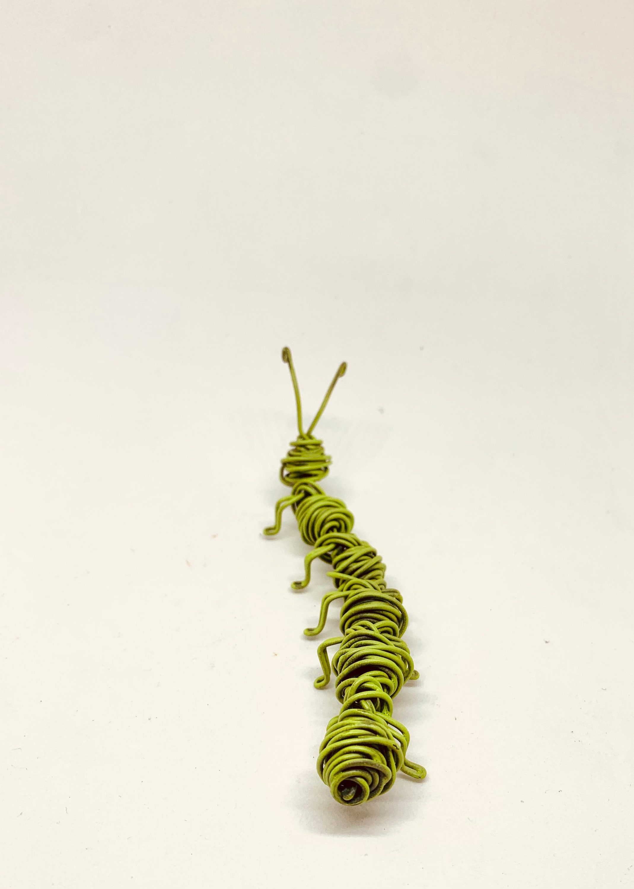 Green Centipede. Caterpillar on Wire. Centipede Sculpture. Green Worm ...