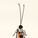 Barcelona Modernist Ceramics. Wire Ant With Crackled Enameled - Etsy