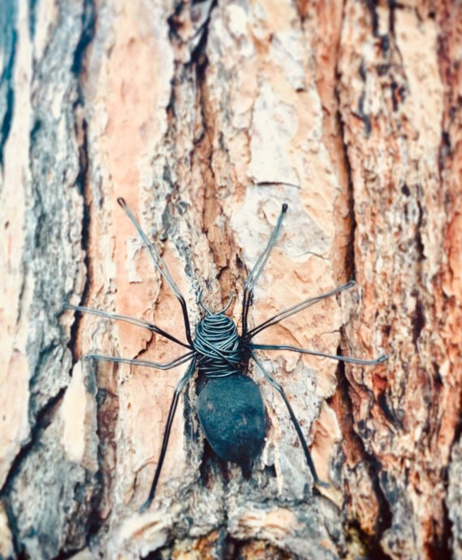 Wire spider. Spider and seed wire spider with Barcelona tree | Etsy