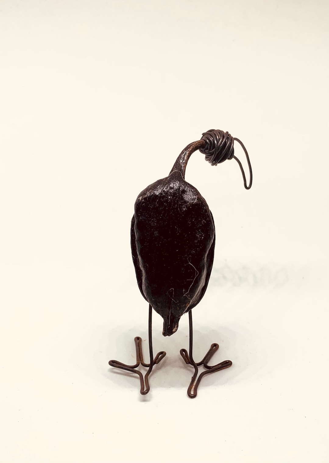 Dodo Bird. Bird Sculpture With Wire. Bird on Wire. Figure of a Bird ...