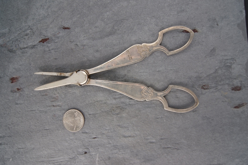 Sterling Silver Antique Victorian Era Scissors C. 1840s Grape - Etsy ...