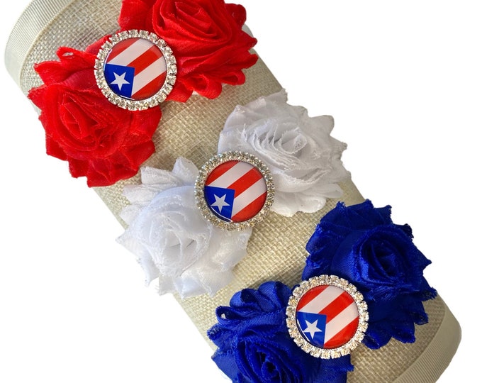 Old San Juan, Puerto Rico Flag Mural on Garage Doors - Wood Ornament - Etsy