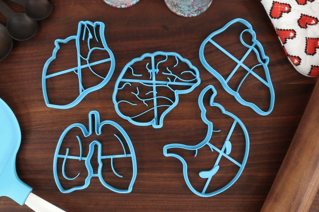 Anatomical Organs Cookie Cutters, Set 1 - Human Brain, Heart , Liver ...