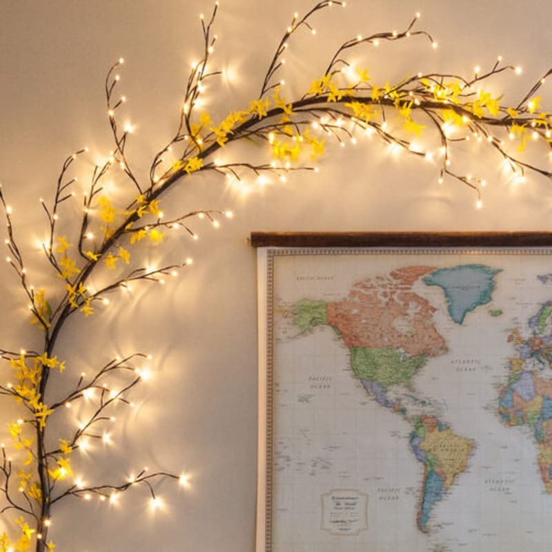 Spring String Lights - Etsy