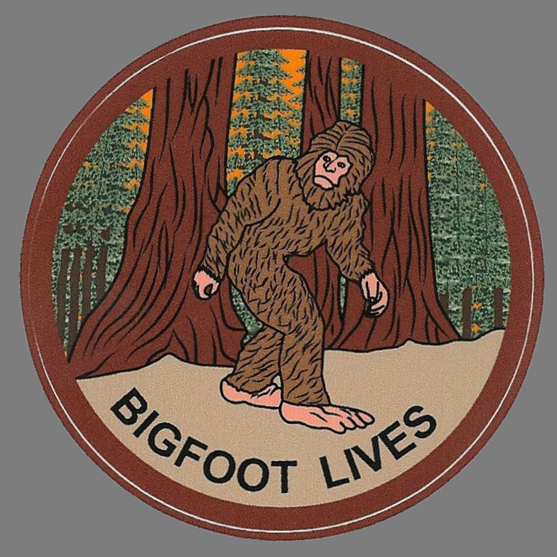 Bigfoot Decal Bigfoot Sticker Sasquatch Souvenir Bigfoot - Etsy