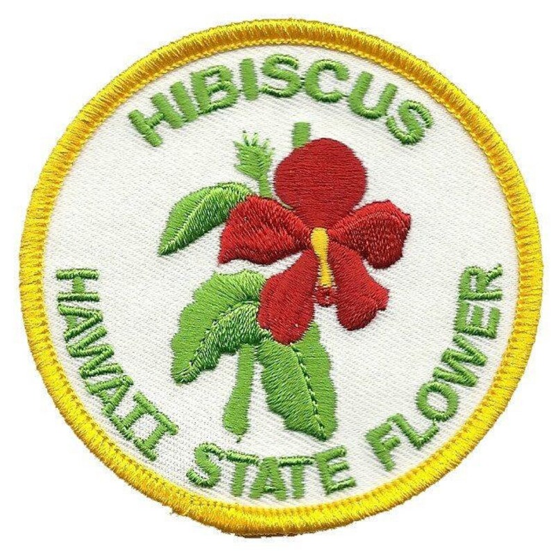 Hawaii Patch State Flower Hibiscus Travel Patch Hawaii - Etsy