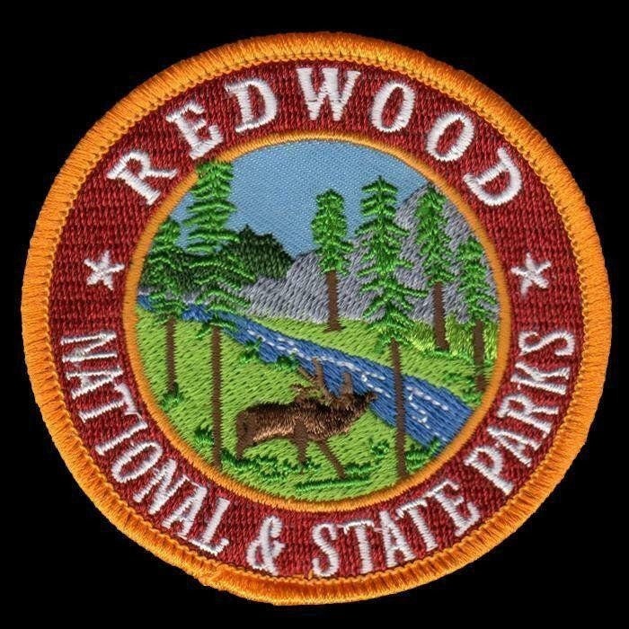 Redwoods National and State Park Iron On Patch California | Etsy