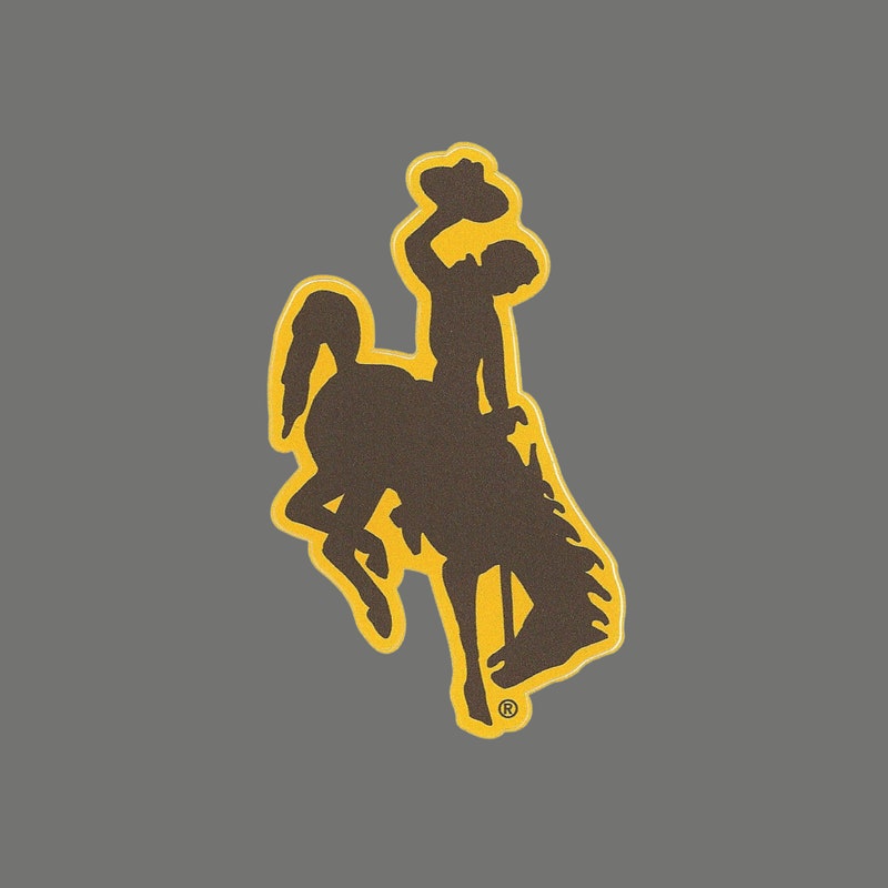Kids Cowboy Stickers - Etsy