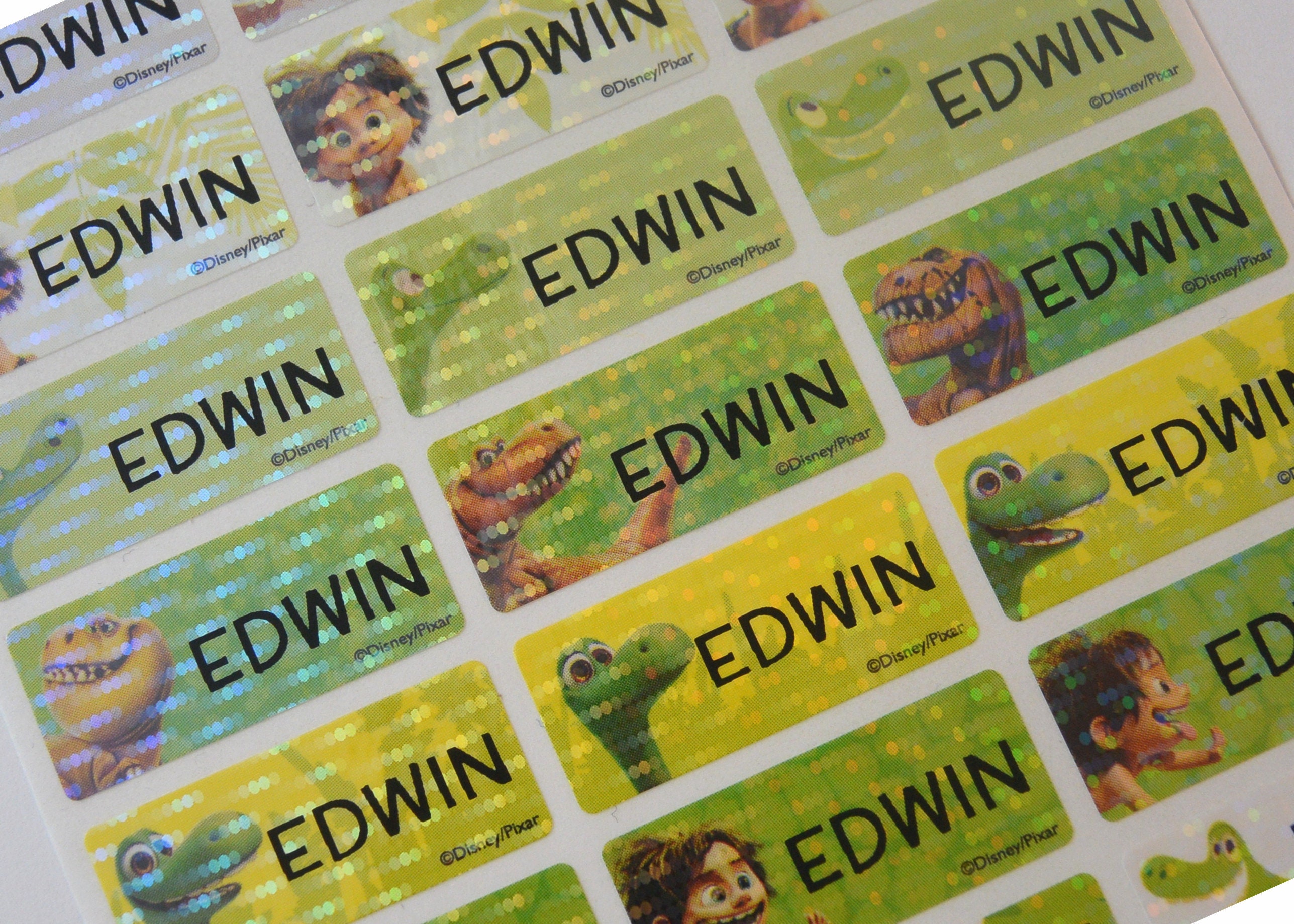 Disney the good dinosaur Labels kids names custom vinyl | Etsy