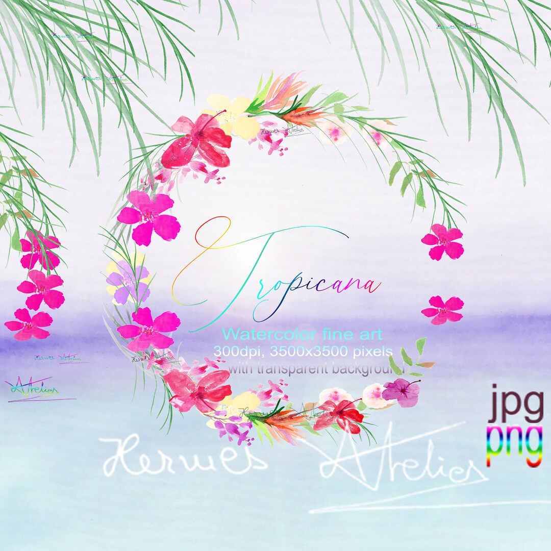 Flower Clipart, Tropicana, Fine Art Tropical Frame Border Clipart ...
