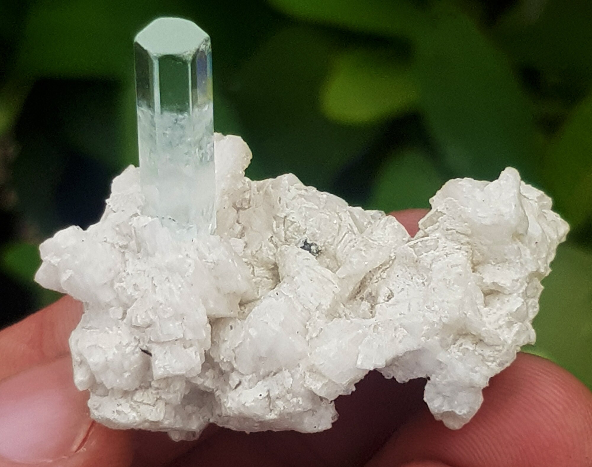 Natural High Quality Blue Gemmy Aquamarine Crystals Specimen | Etsy