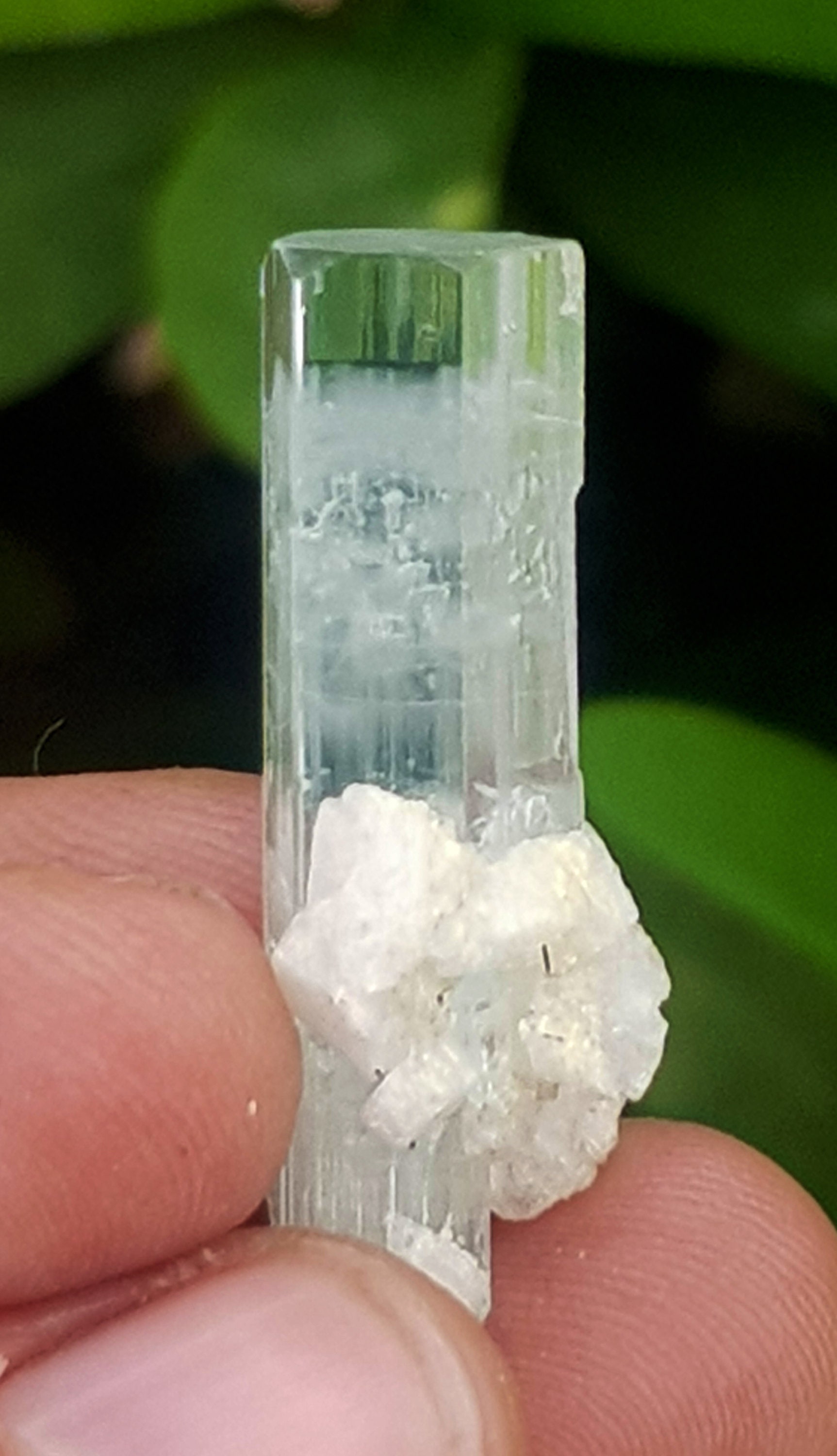 Natural High Quality Blue Gemmy Aquamarine Crystals Specimen - Etsy