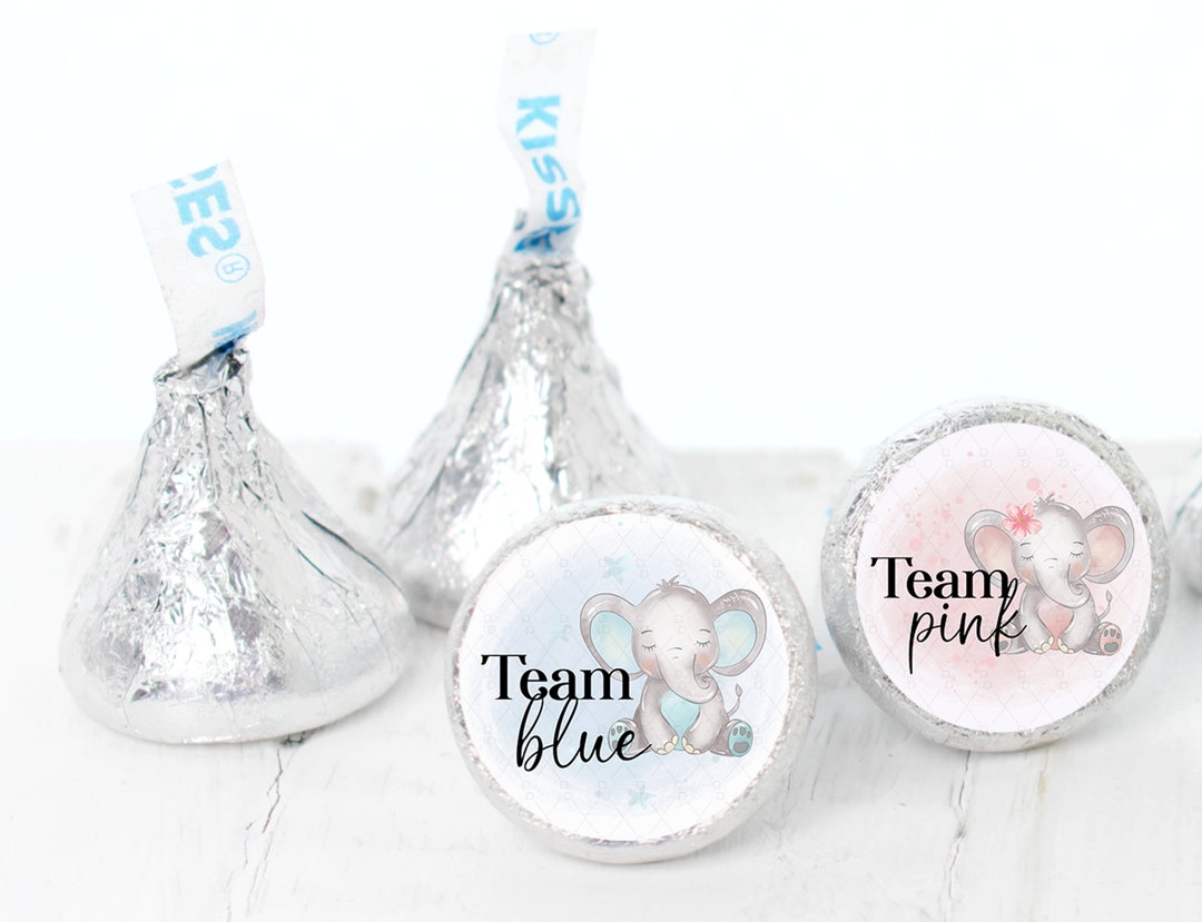 Team Blue Pink 108 Candy Stickers, Baby Shower Party Favor Label ...