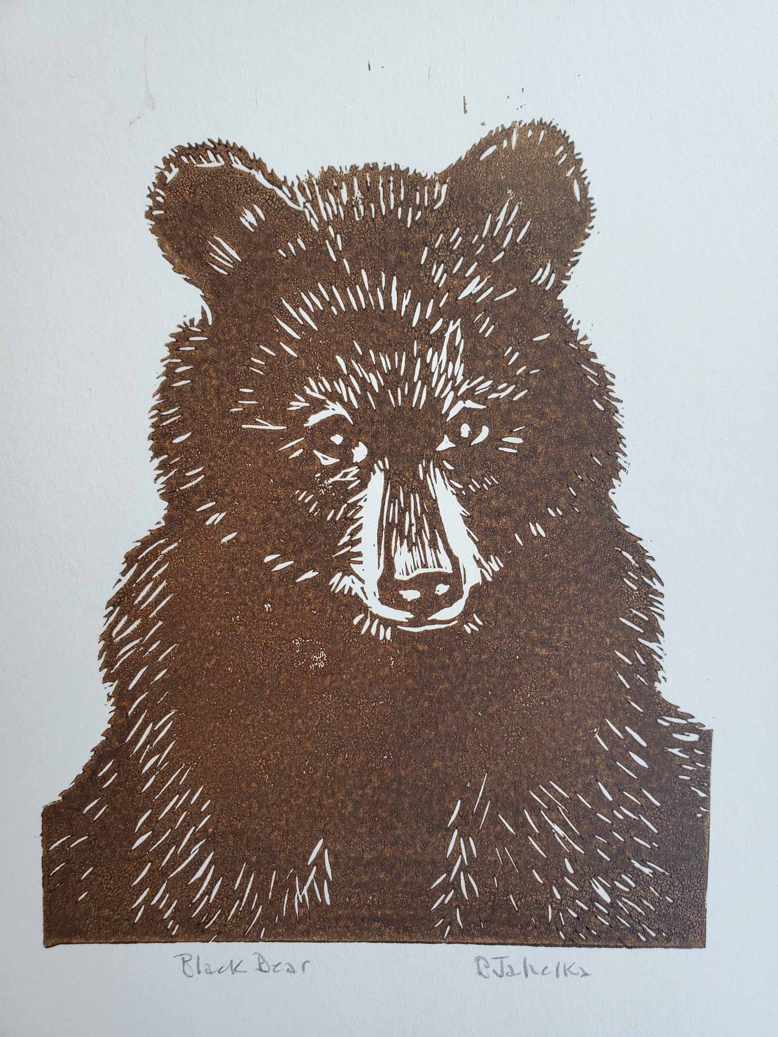 Black Bear Linocut Print: Handprinted Colorado Wildlife Art - Etsy