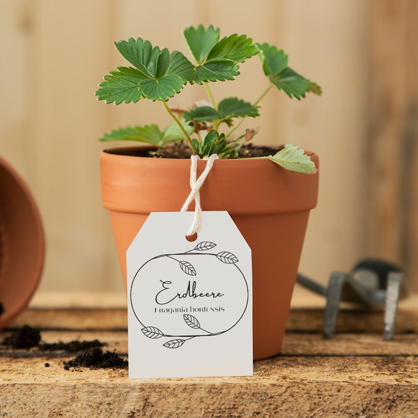 German Spice Jars - Etsy