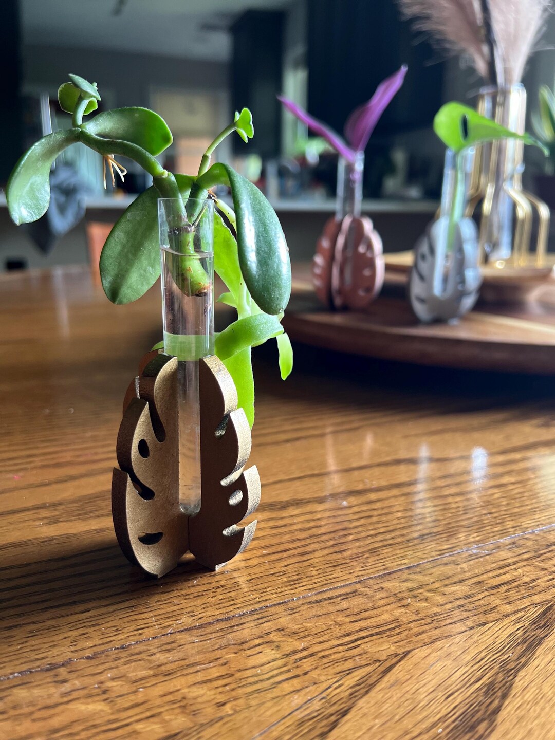 Wood Monstera Leaf Propagation Stand With Test Tube- Great Plant Gift ...