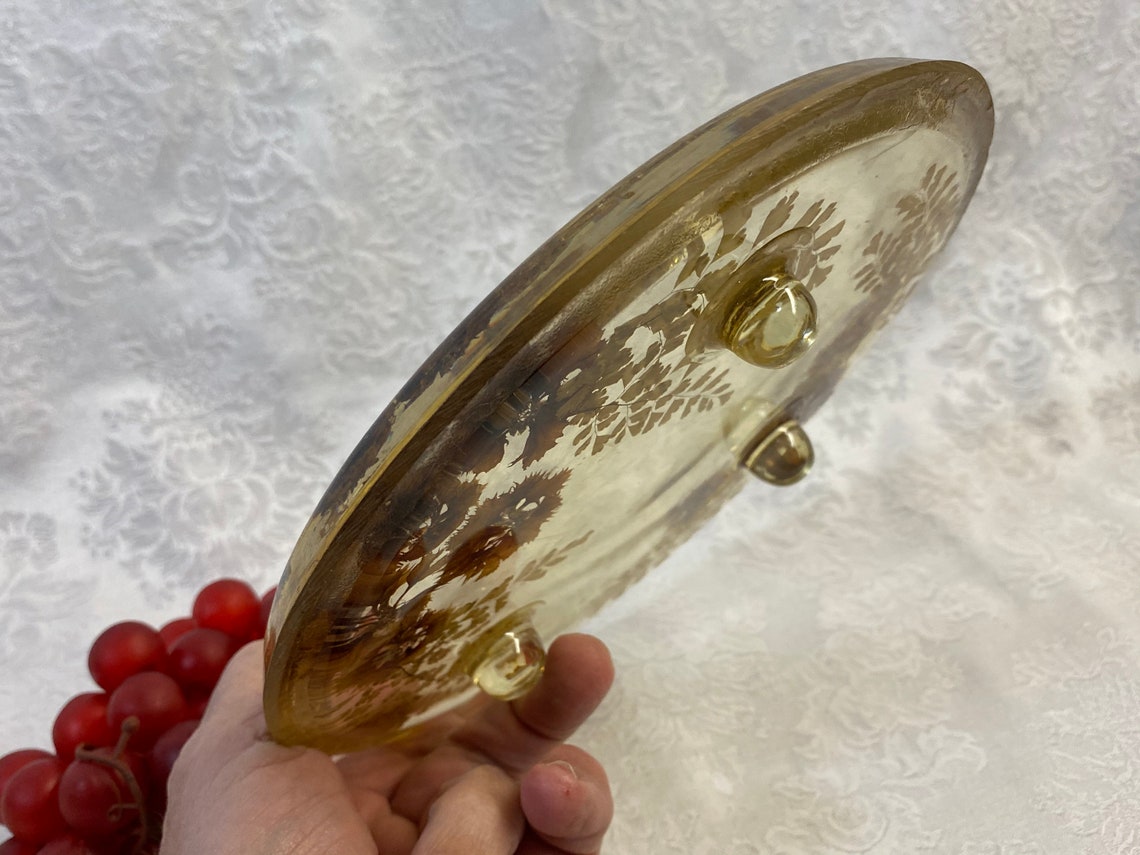 Round Lucite Trivet With Imbedded Floral Elements - Etsy