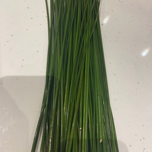 Authentic Irish Rushes for St Brigid's Cross Weaving, Celtic Craft ...