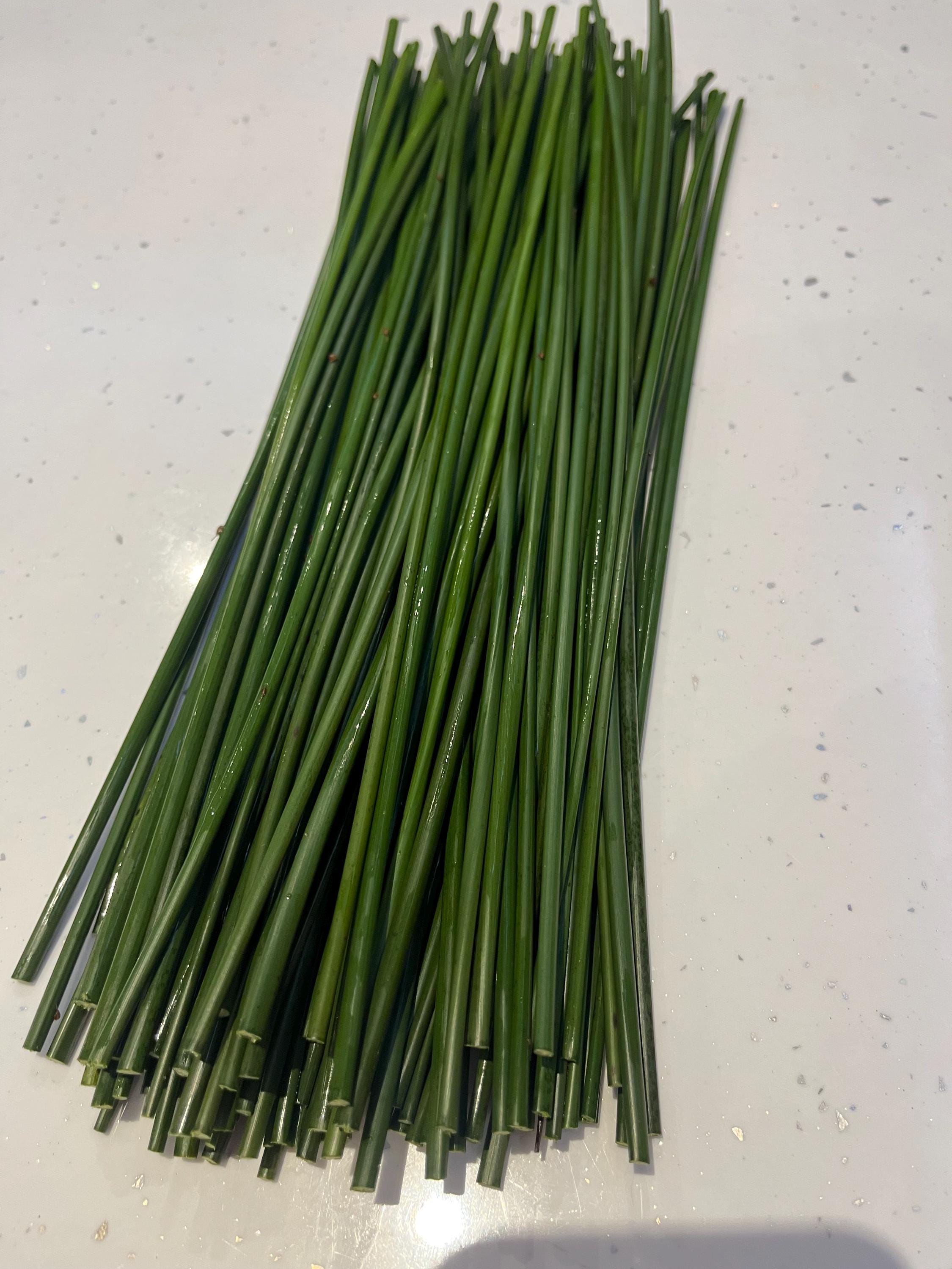 Authentic Irish Rushes for St Brigid's Cross Weaving, Celtic Craft ...