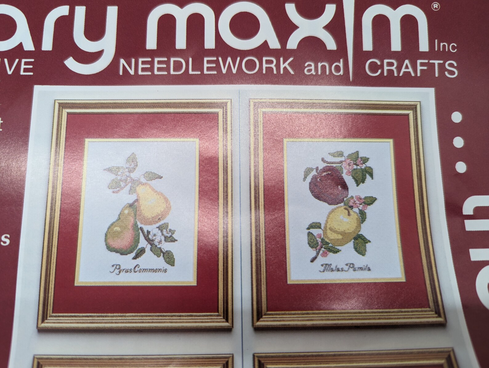 Mary Maxim Botanical Fruits - Sealed Kits - Choose Option - Etsy