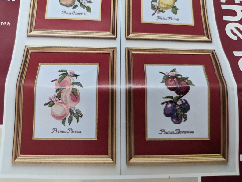 Mary Maxim Botanical Fruits - Sealed Kits - Choose Option - Etsy