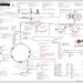 Medical Biochemistry Pathways Poster - Etsy