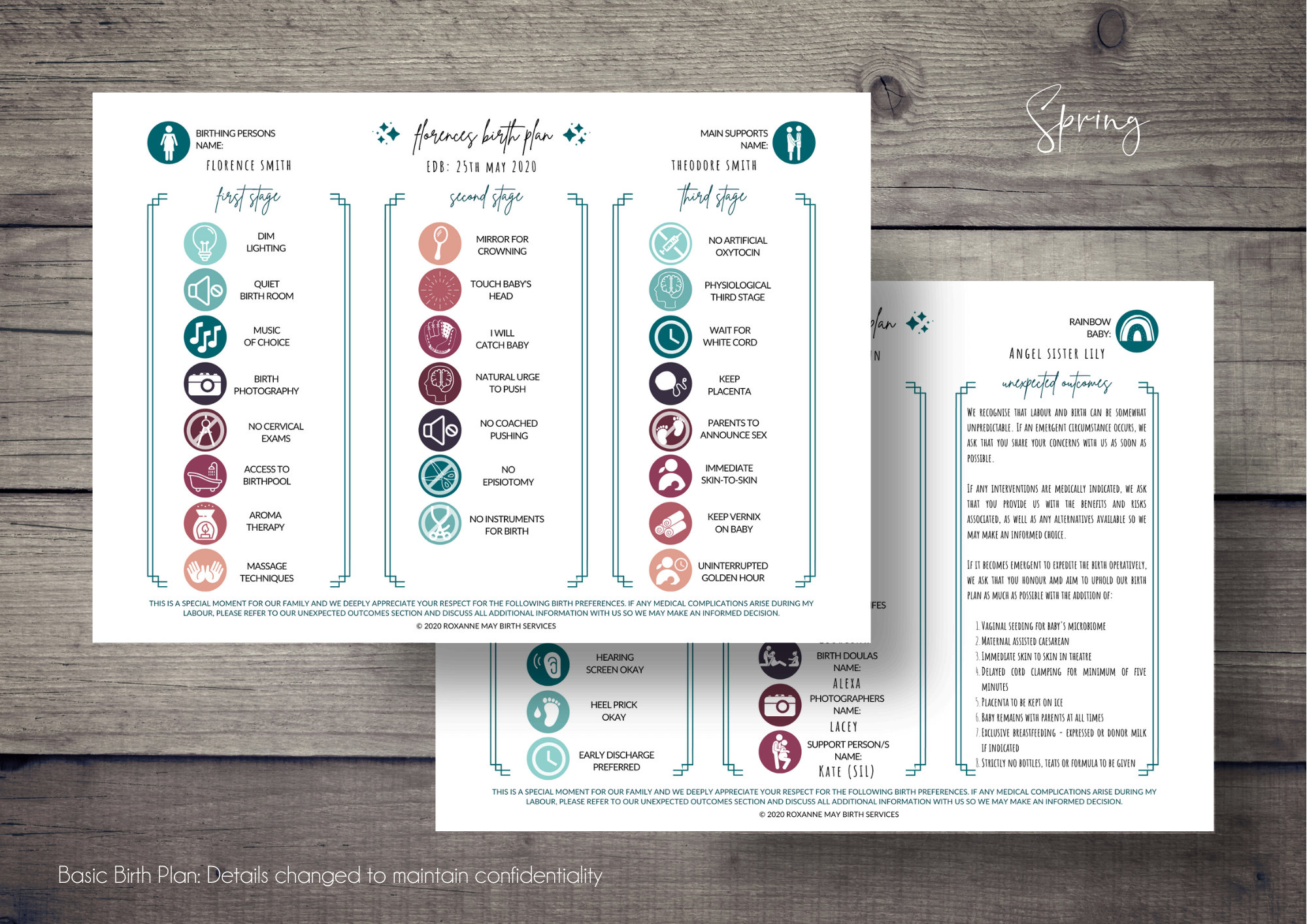 Custom Visual Birth Plan - Two Pages - Etsy