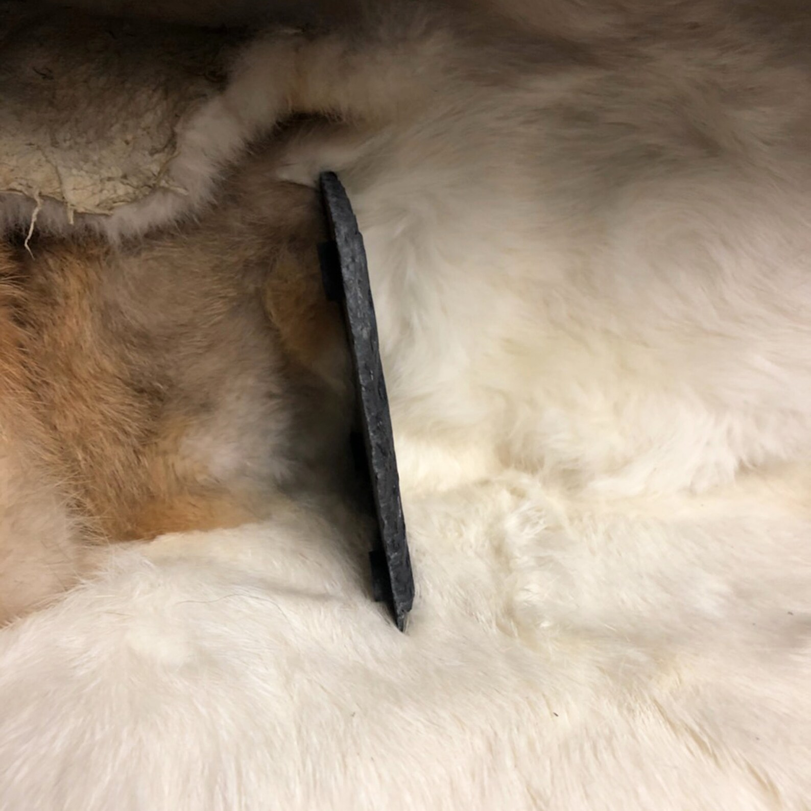 Viking Rune Circle Vegvisir Symbol Custom Slate Coasters | Etsy