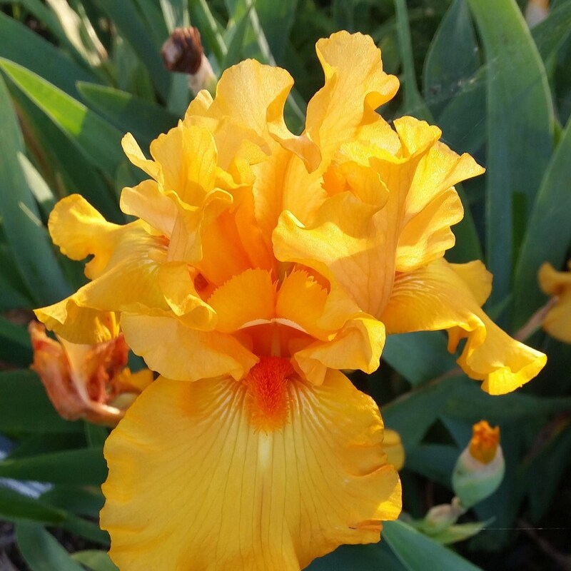 PecanGroveFarms (Ships from: the US) - Etsy