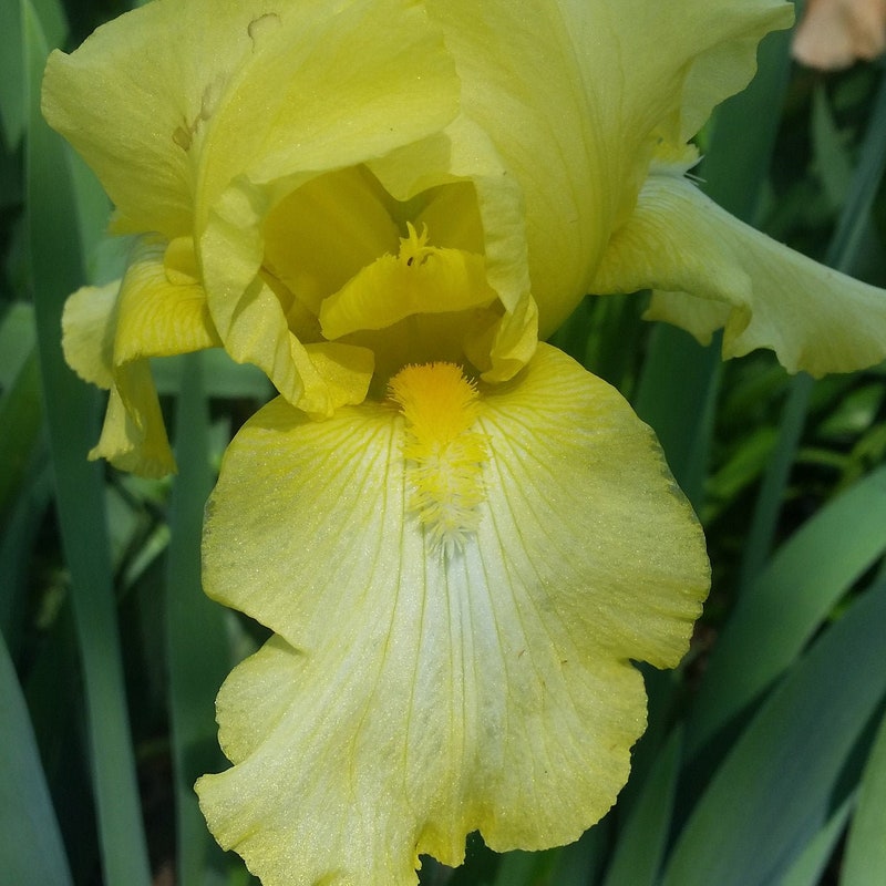 PecanGroveFarms - Etsy