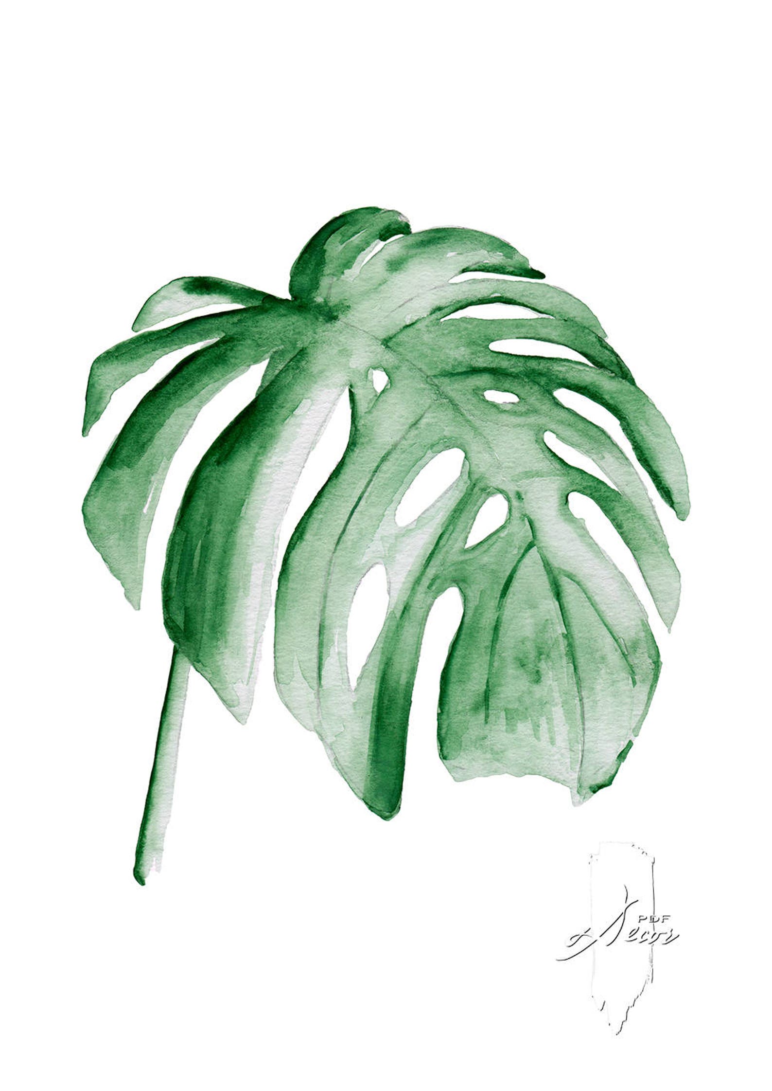Monstera Leaf Print Monstera Plant Monstera Art Tropical | Etsy