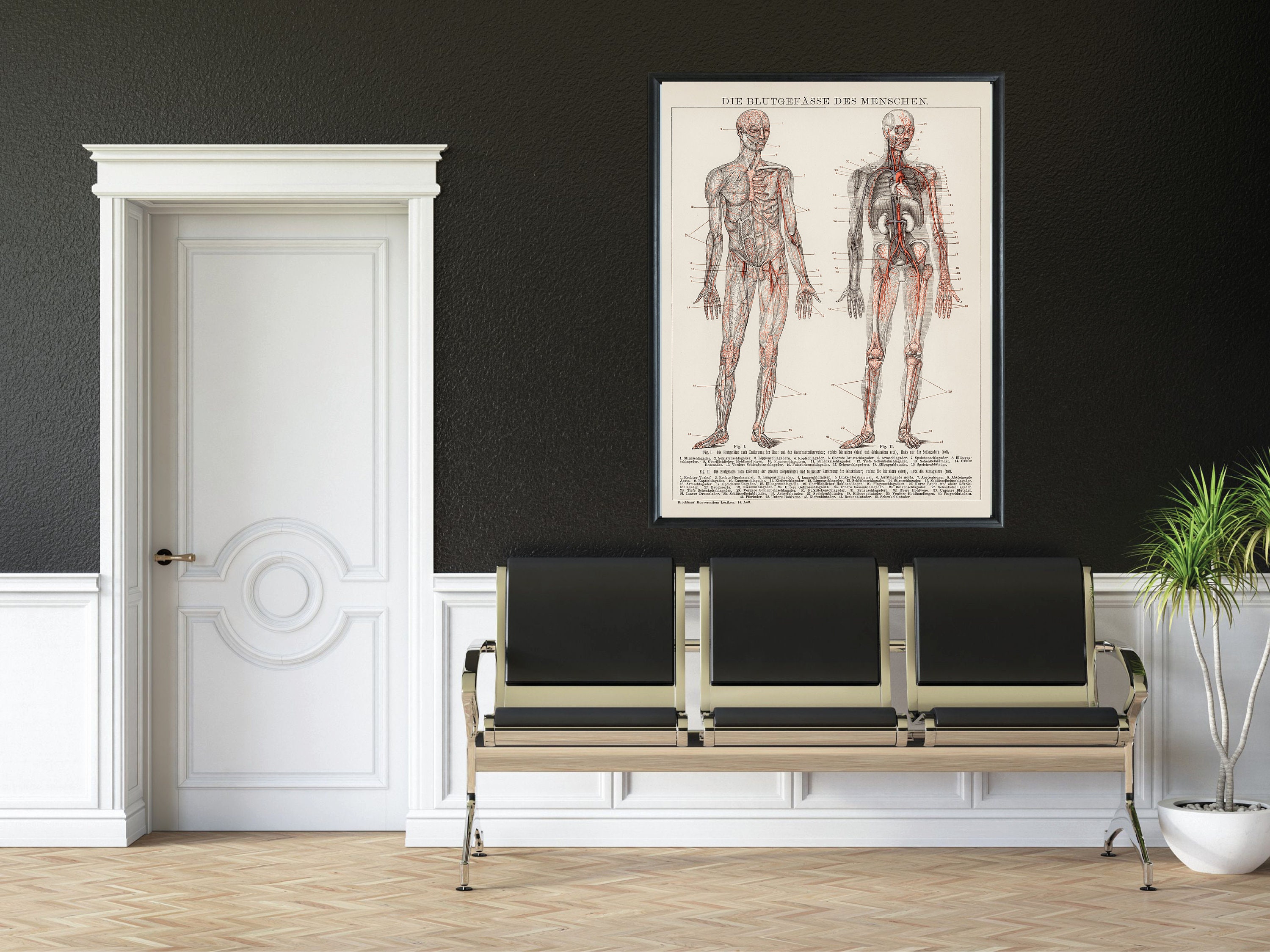 Vintage Anatomy Print: Heart & Vascular System Medical Art (digital ...