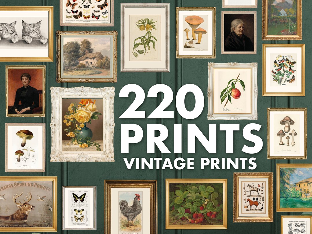 Cottagecore MEGA Bundle Eclectic Vintage Prints, Maximalist Decor ...