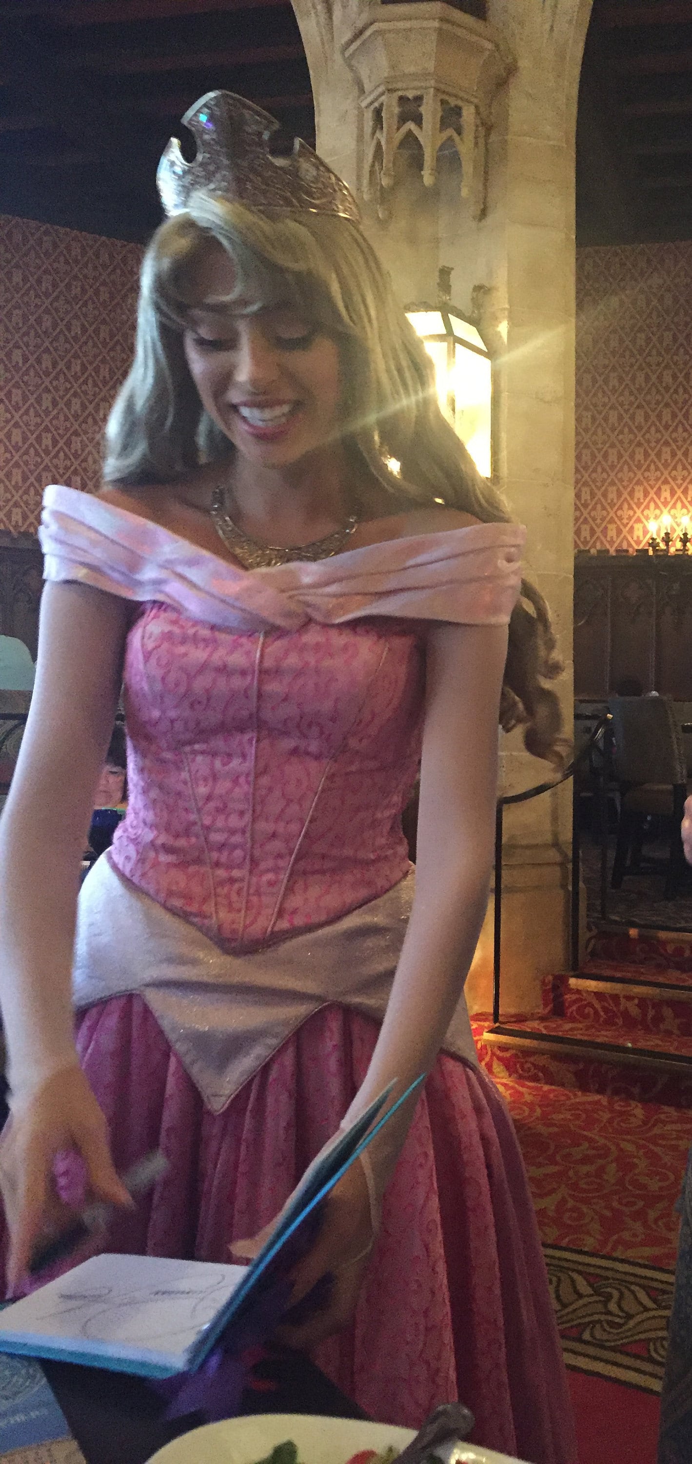 Sleeping Beauty Autograph Book Princess Aurora Disney Princess | Etsy