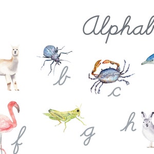 Animal Alphabet Poster Printable Cursive - Montessori Letter Sounds ...