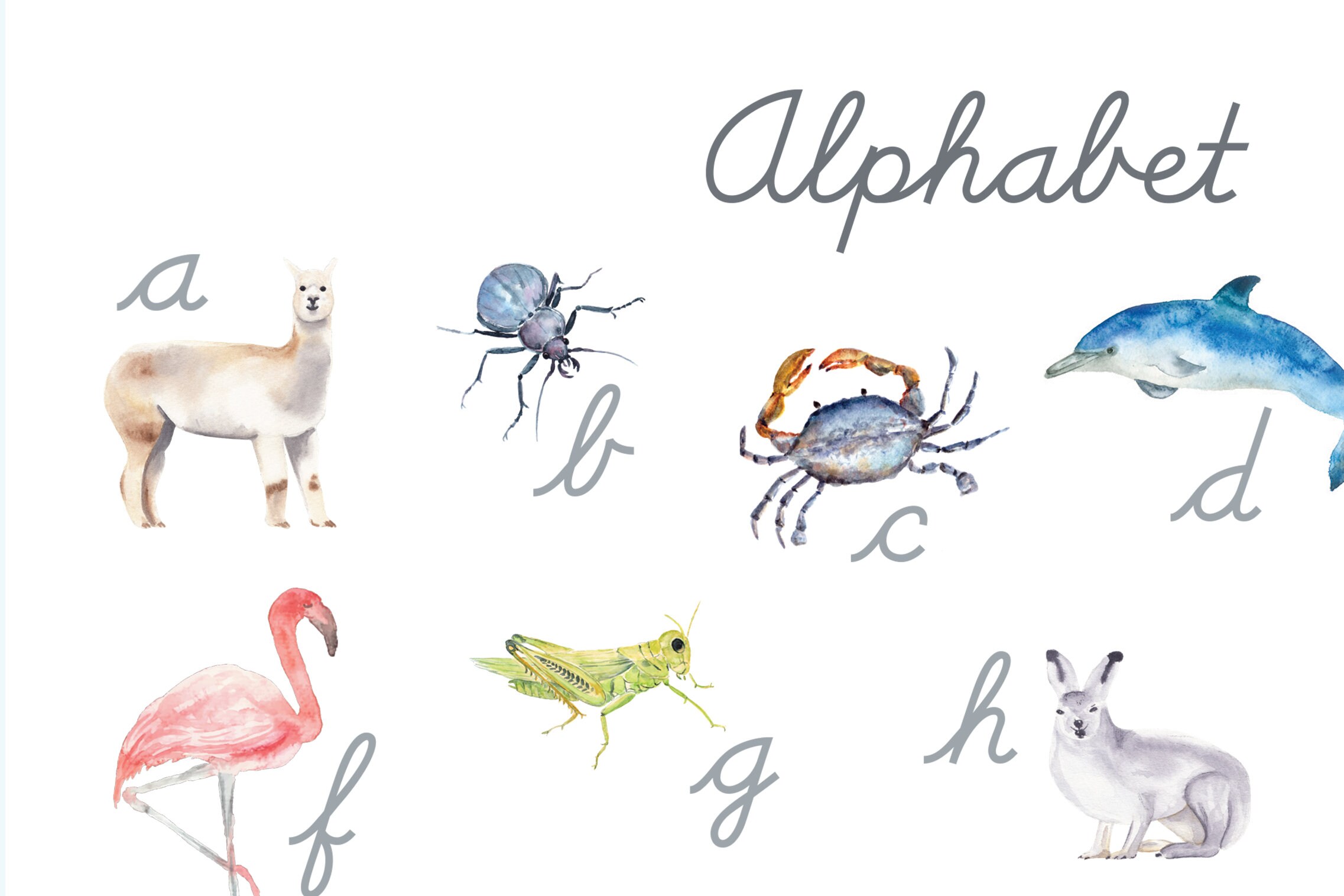 Animal Alphabet Poster Printable Cursive Montessori Letter - Etsy