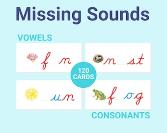 Montessori Pink Language Series - Etsy