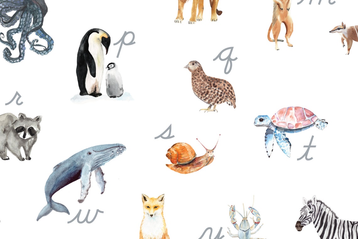 Animal Alphabet Poster Printable Cursive Montessori Letter - Etsy
