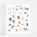 Animal Alphabet Poster Printable Cursive Montessori Letter - Etsy