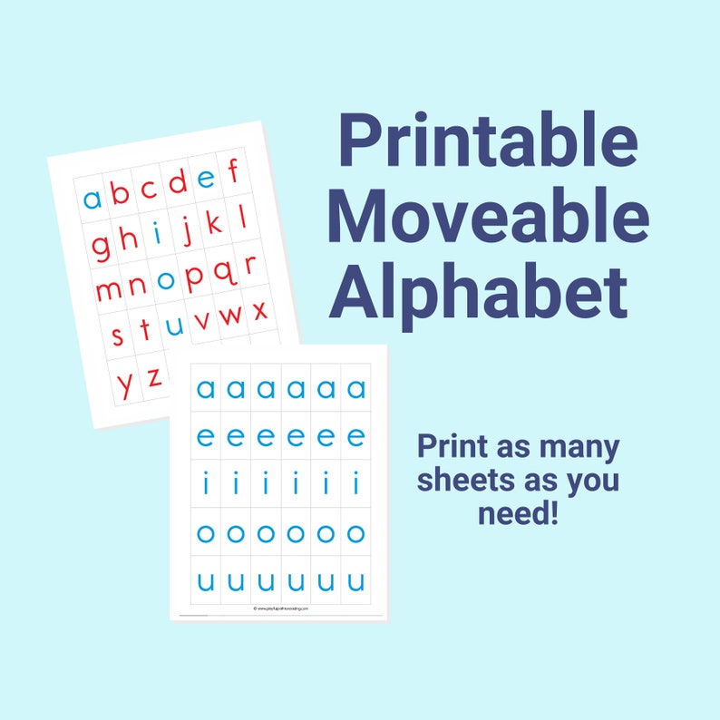 CVC Words Missing Sounds Vowels Consonants and Printable - Etsy