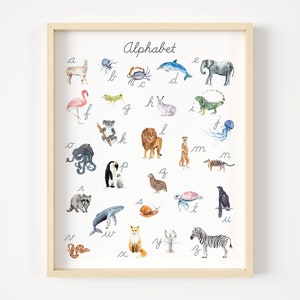 Animal Alphabet Poster Printable Cursive - Montessori Letter Sounds ...