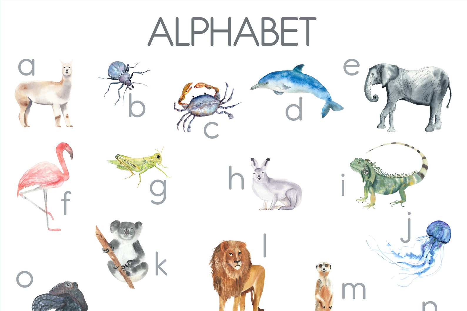 Beginning Sounds Poster Watercolor Animals Alphabet Poster - Etsy