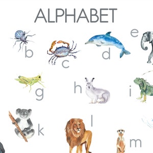 Beginning Sounds Poster - Watercolor Animals Alphabet Poster Printable ...