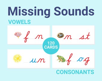 Montessori Cvc Cards - Etsy