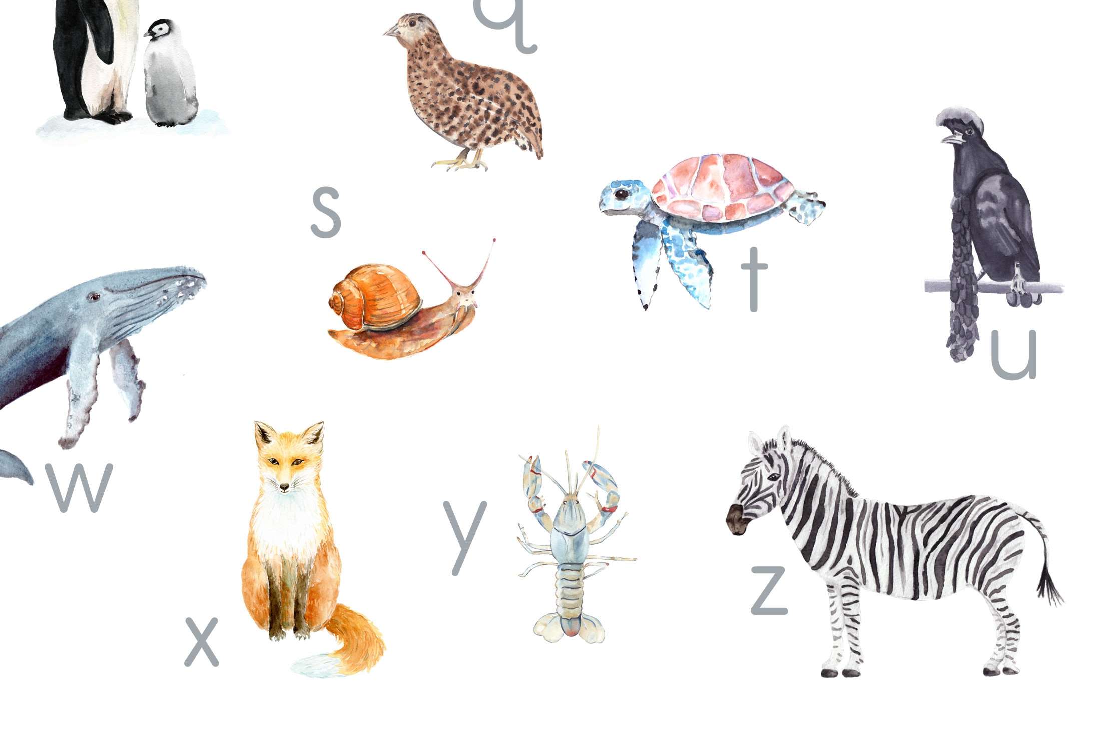 Beginning Sounds Poster Watercolor Animals Alphabet Poster - Etsy