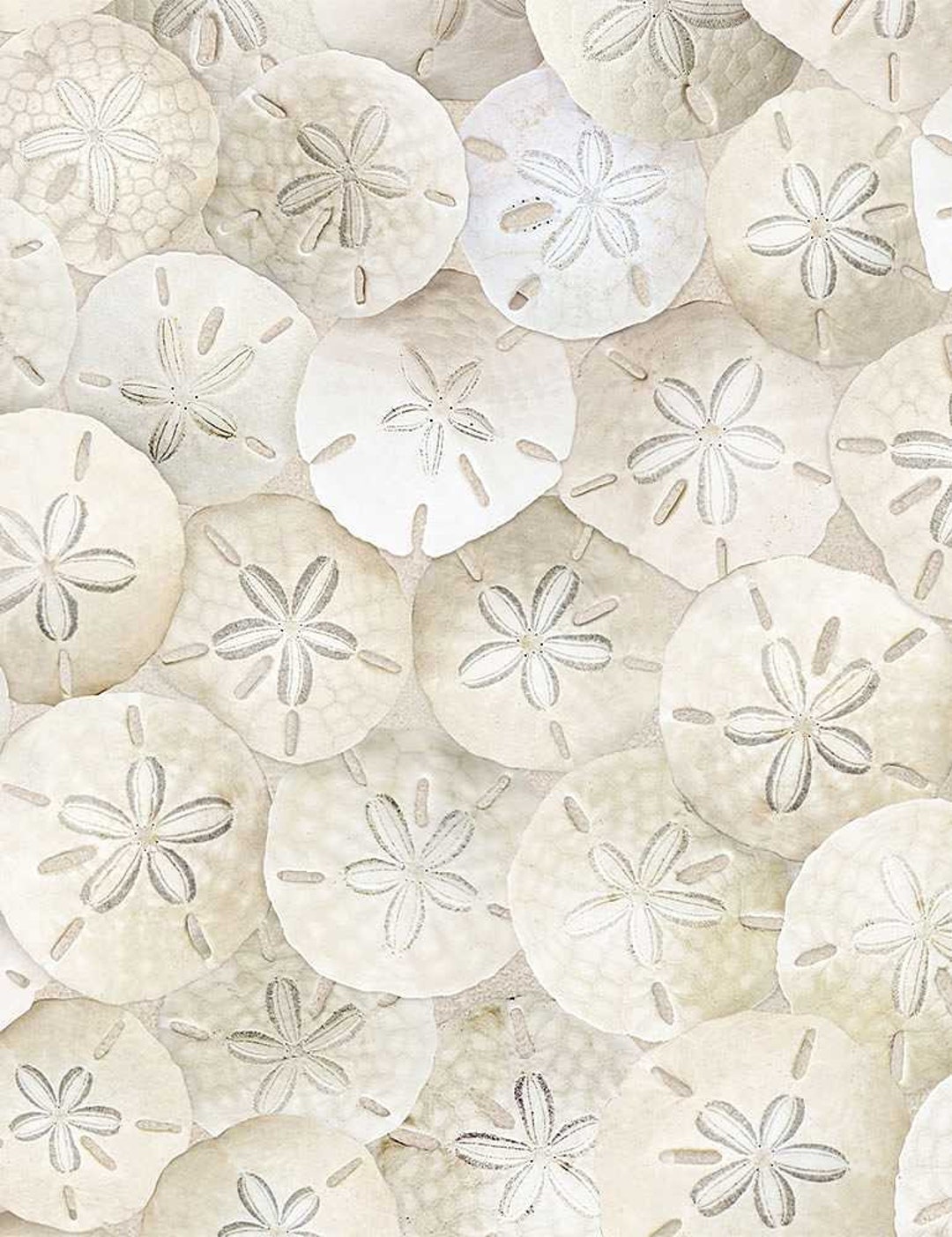 Beach Comber Sand Dollars 8461-sand by Timeless Treasures - Etsy